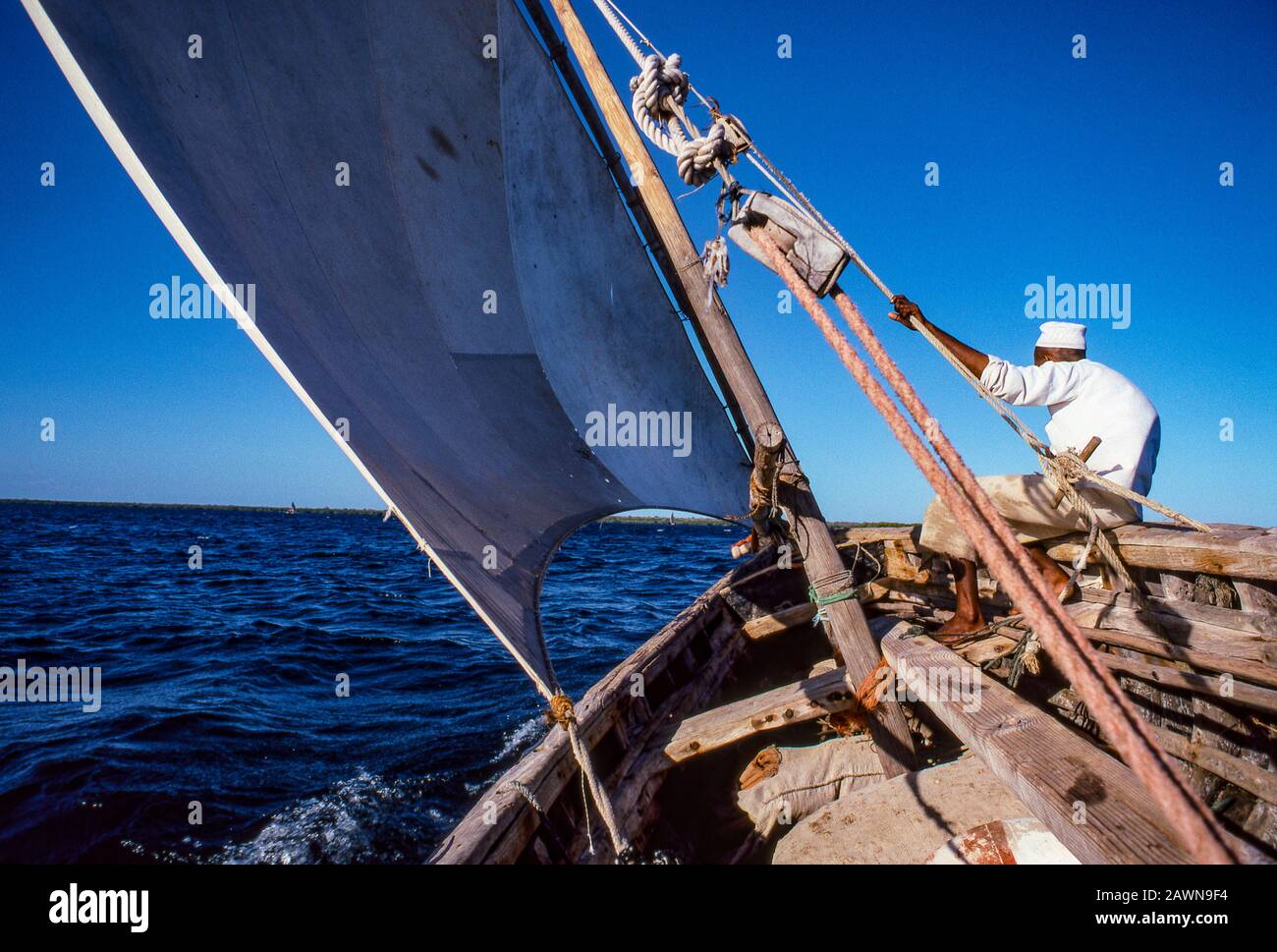 Sailing dhow with lateen sail, island of Lamu off the Indian Ocean ...