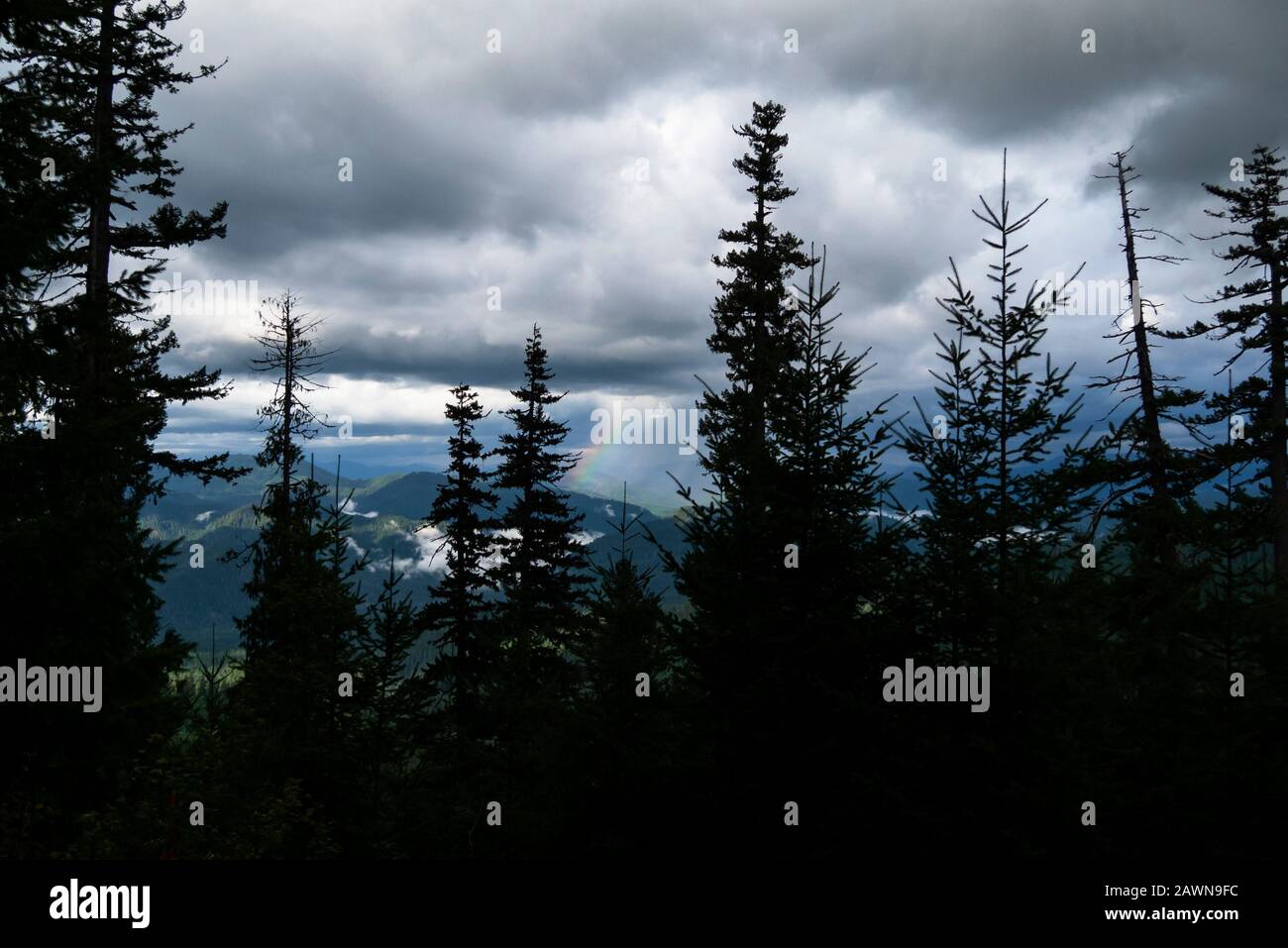 A rainbow breaks through the stormy sky at Timber Butte Cabin Lookout ...