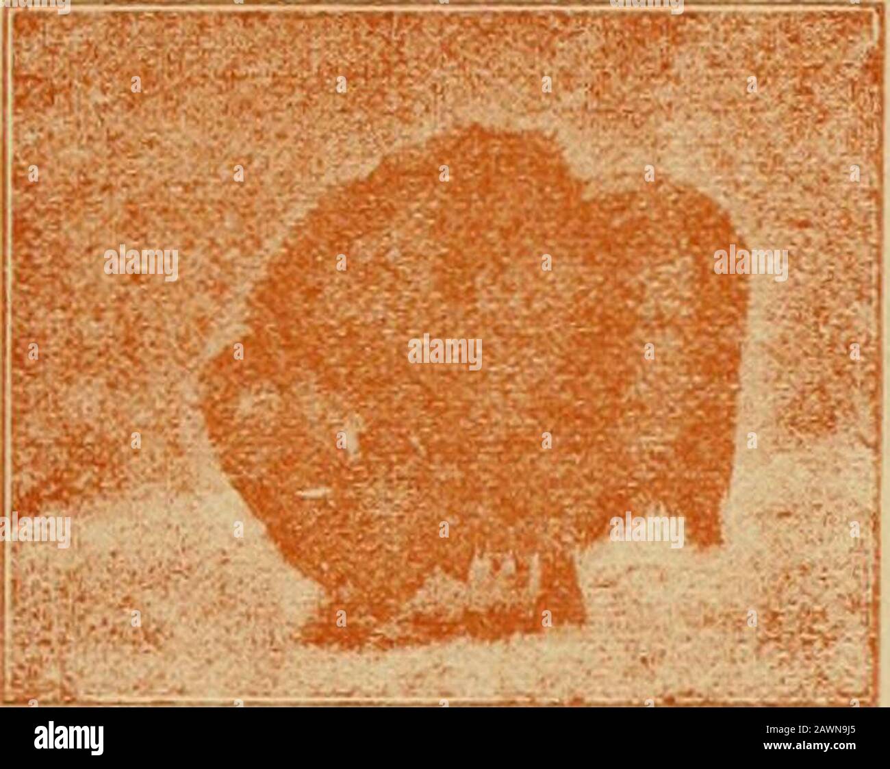 Oxby hi-res stock photography and images - Alamy