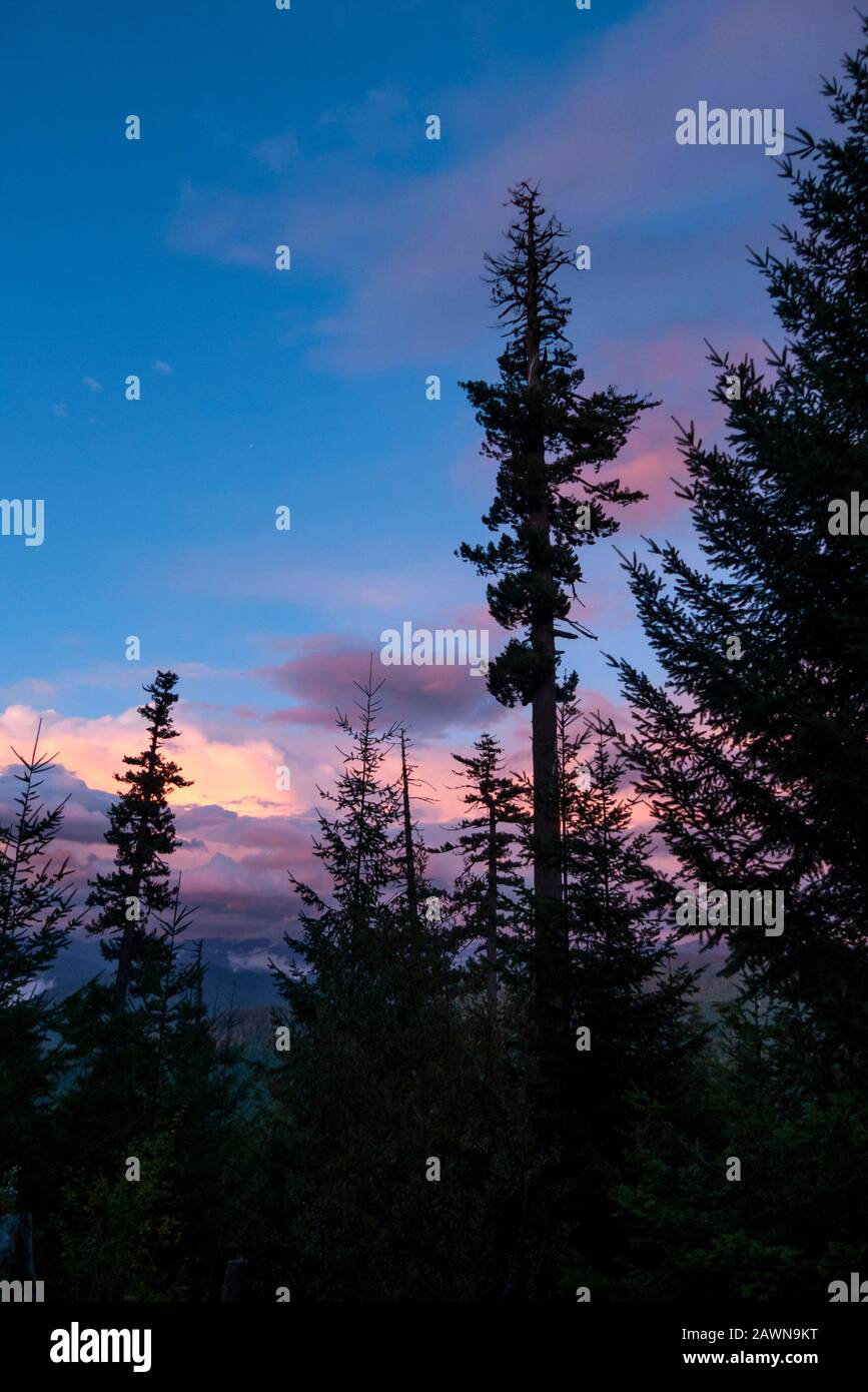 Sunset in the forest at the Timber Butte Cabin Lookout, Fall Creek ...