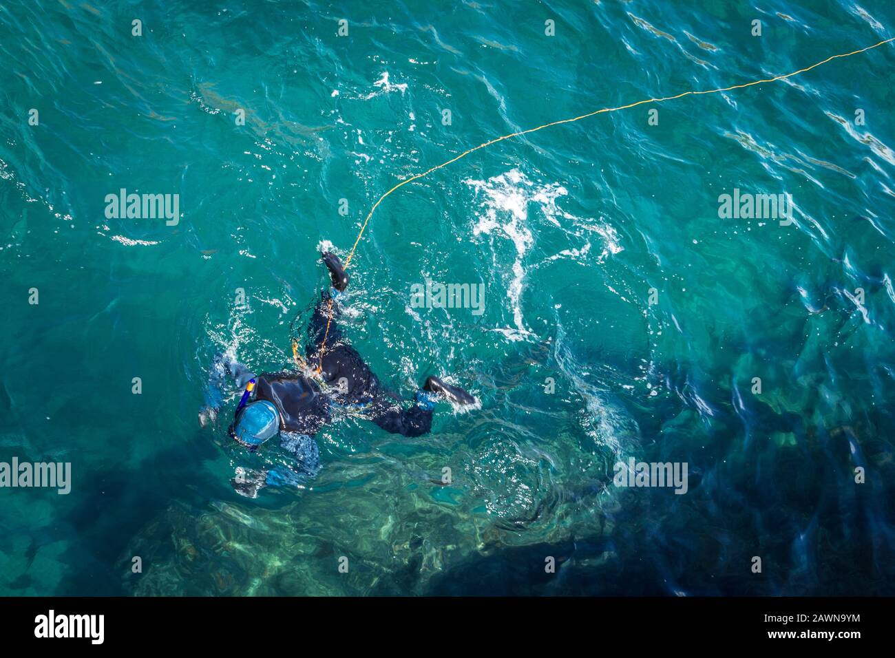 High angle shot of a diver on the surface of the sea during daytime ...