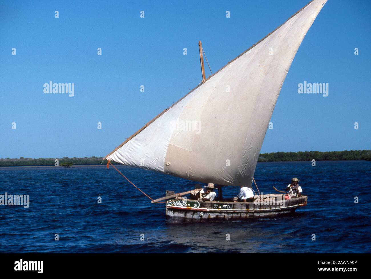 Sailing dhow with lateen sail, island of Lamu off the Indian Ocean ...