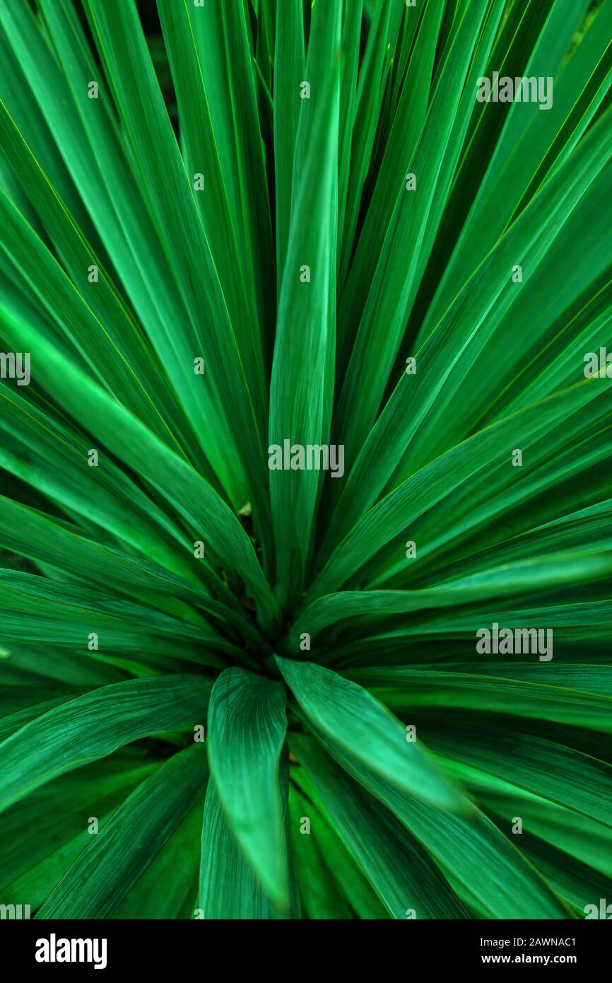 Wallpaper trend hi-res stock photography and images - Alamy