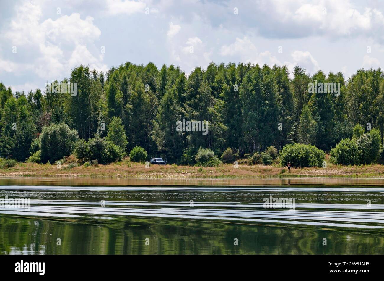 Free beach shore on Vlasina Mountain Lake in summer, Southeastern ...