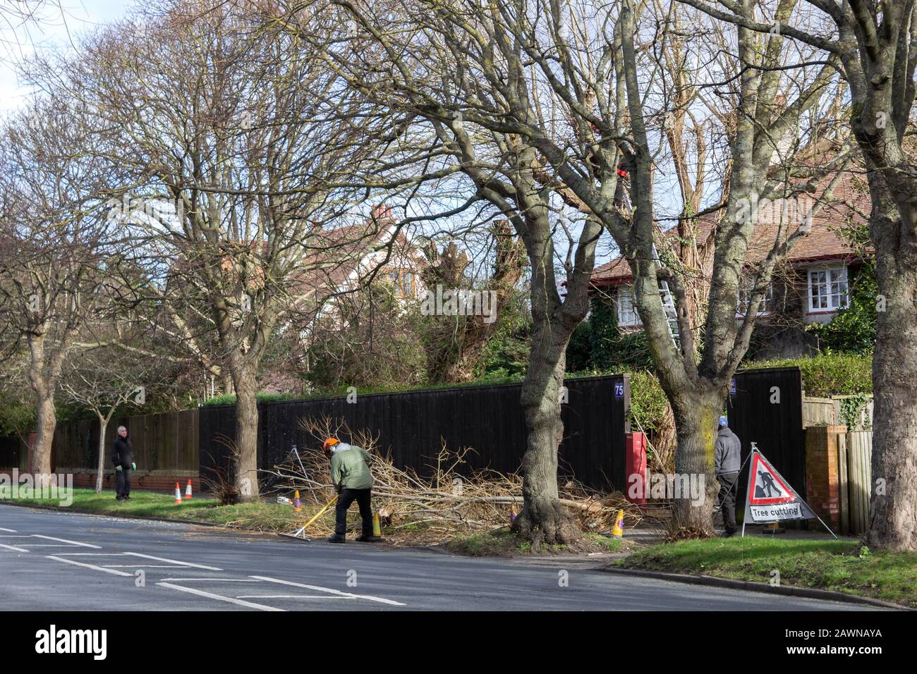 Cutting off branches hi-res stock photography and images - Alamy