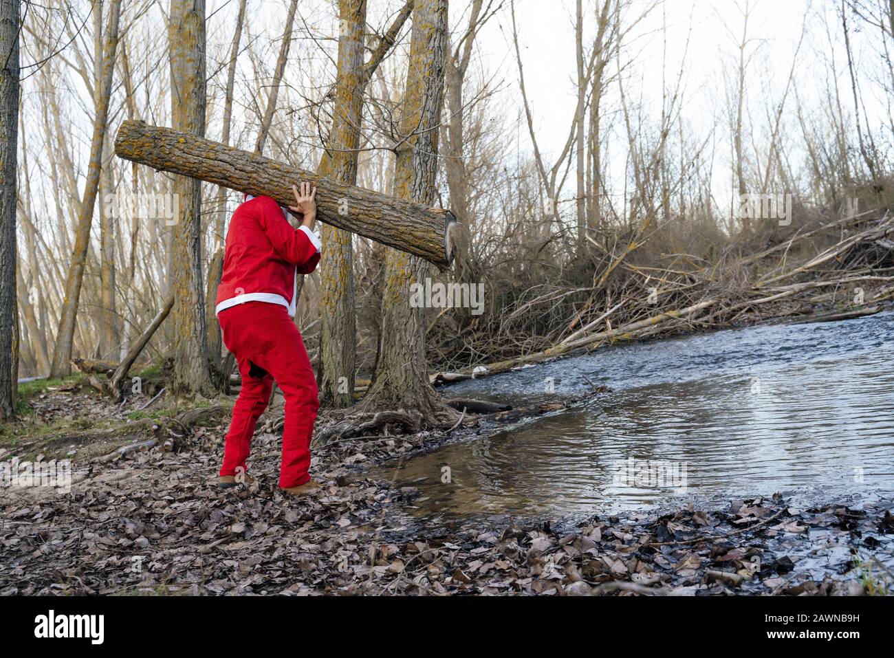 Man carrying christmas tree axe hi-res stock photography and images - Alamy