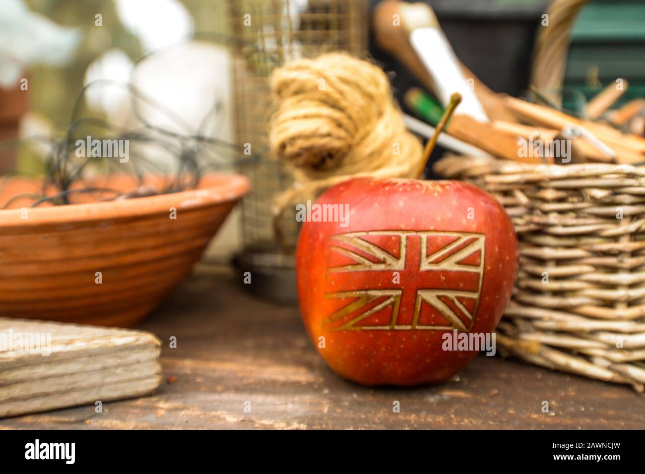 An apple with a British union jack flag on in an English garden Stock ...