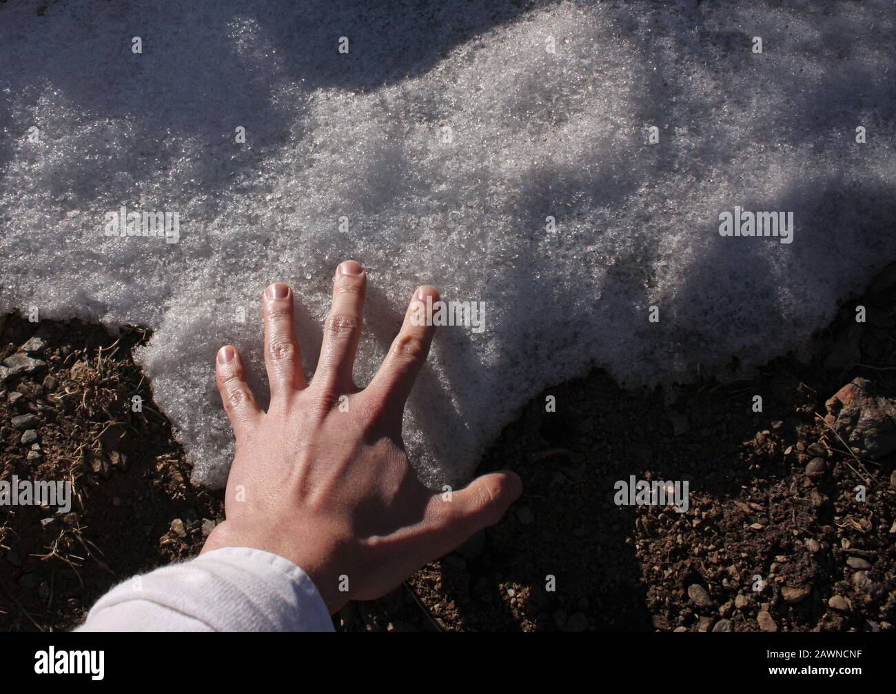 Hand touching the snow on the soil during daytime Stock Photo - Alamy