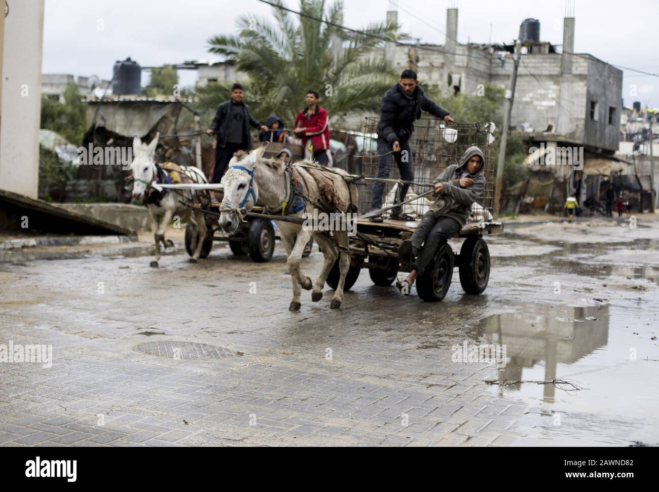 Donkey cart palestine hi-res stock photography and images - Alamy