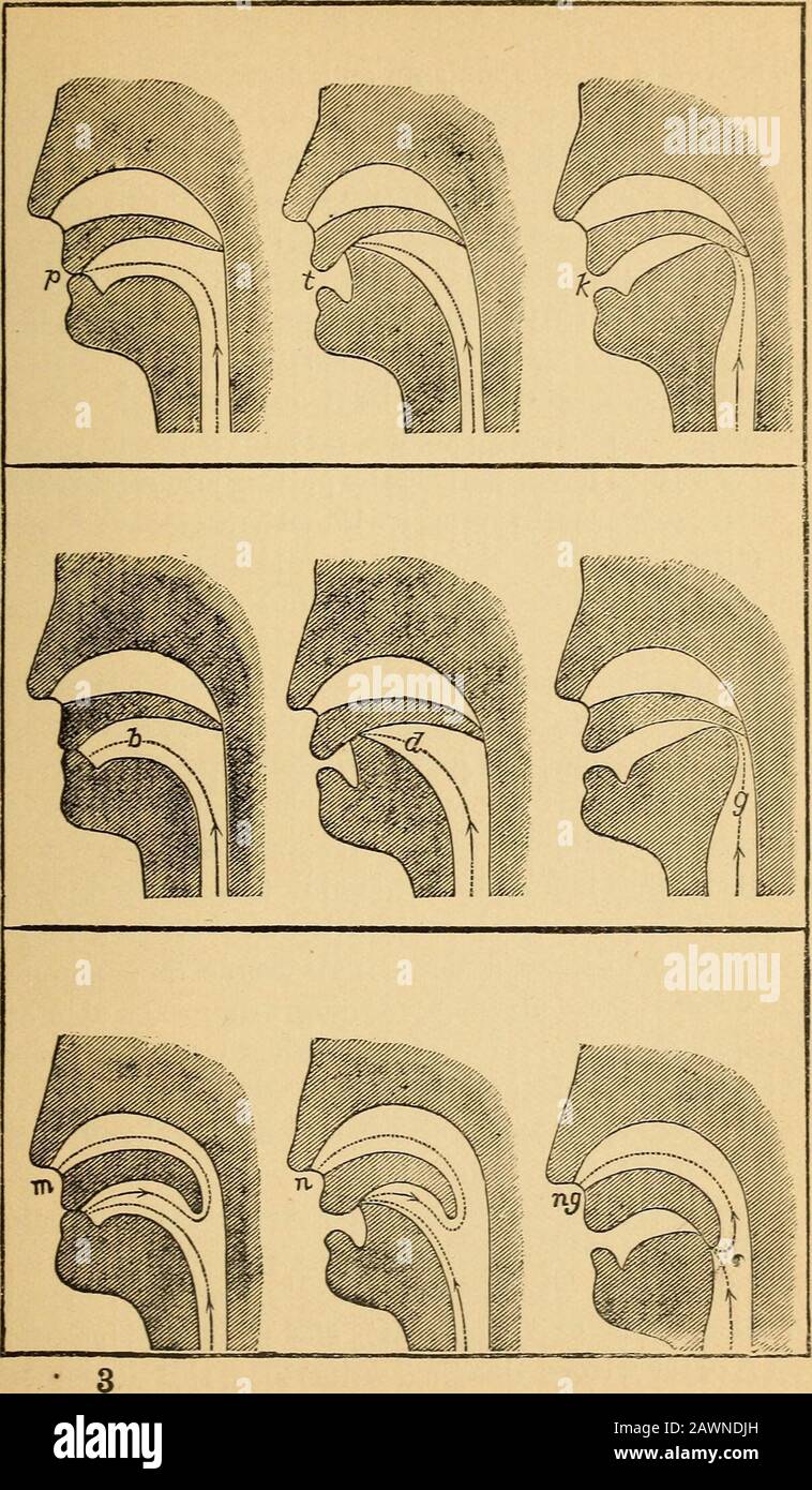 Tongueclose hi-res stock photography and images - Alamy