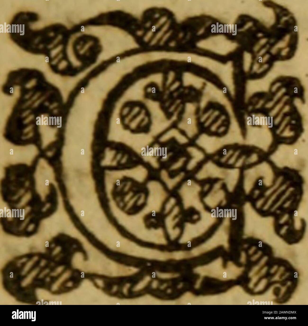 Capef hi-res stock photography and images - Alamy