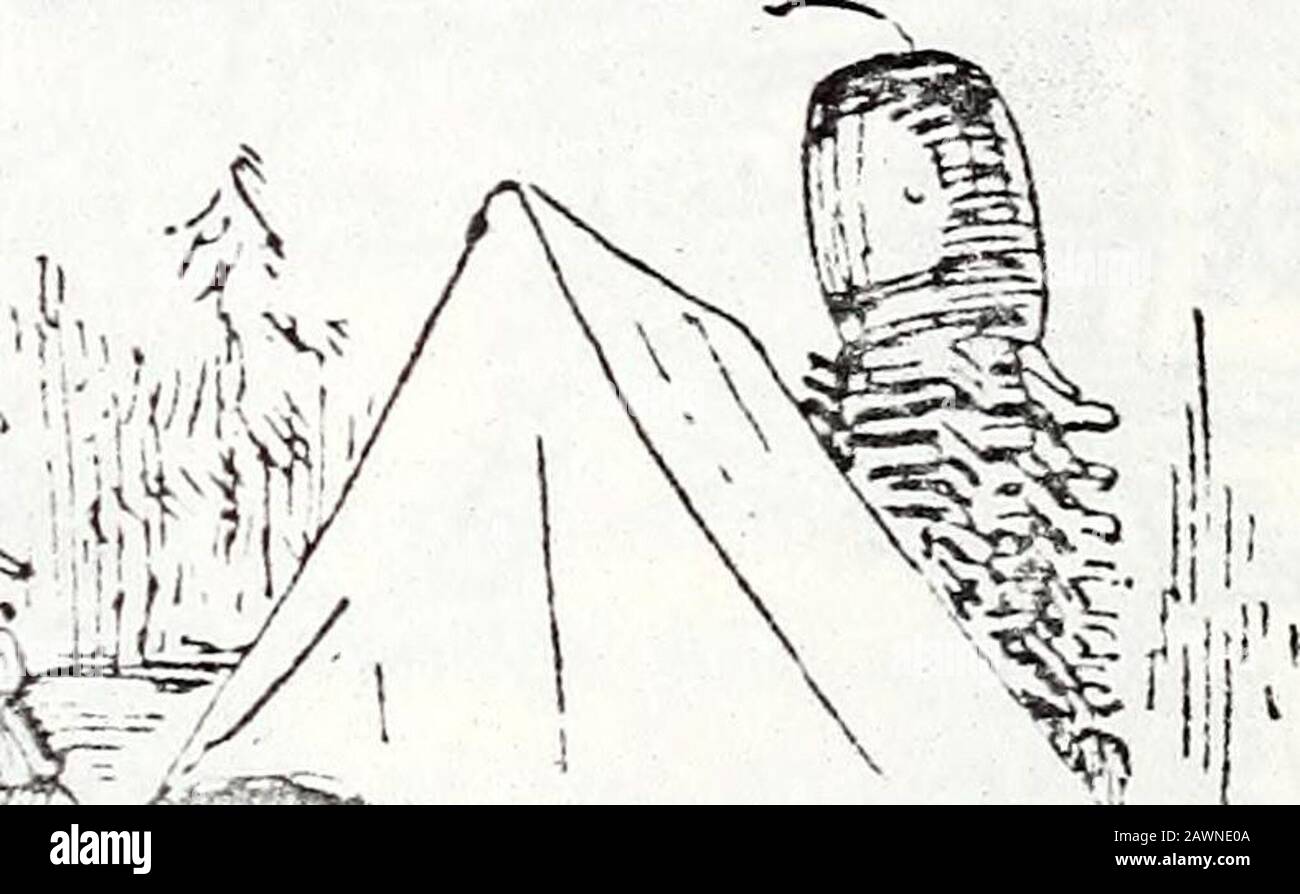 New york heavy artillery regiment hi-res stock photography and images - Alamy