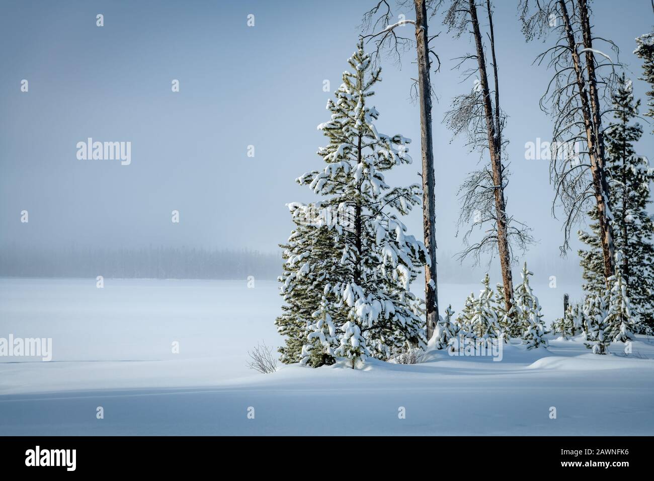 Idaho winter scenery hi-res stock photography and images - Alamy