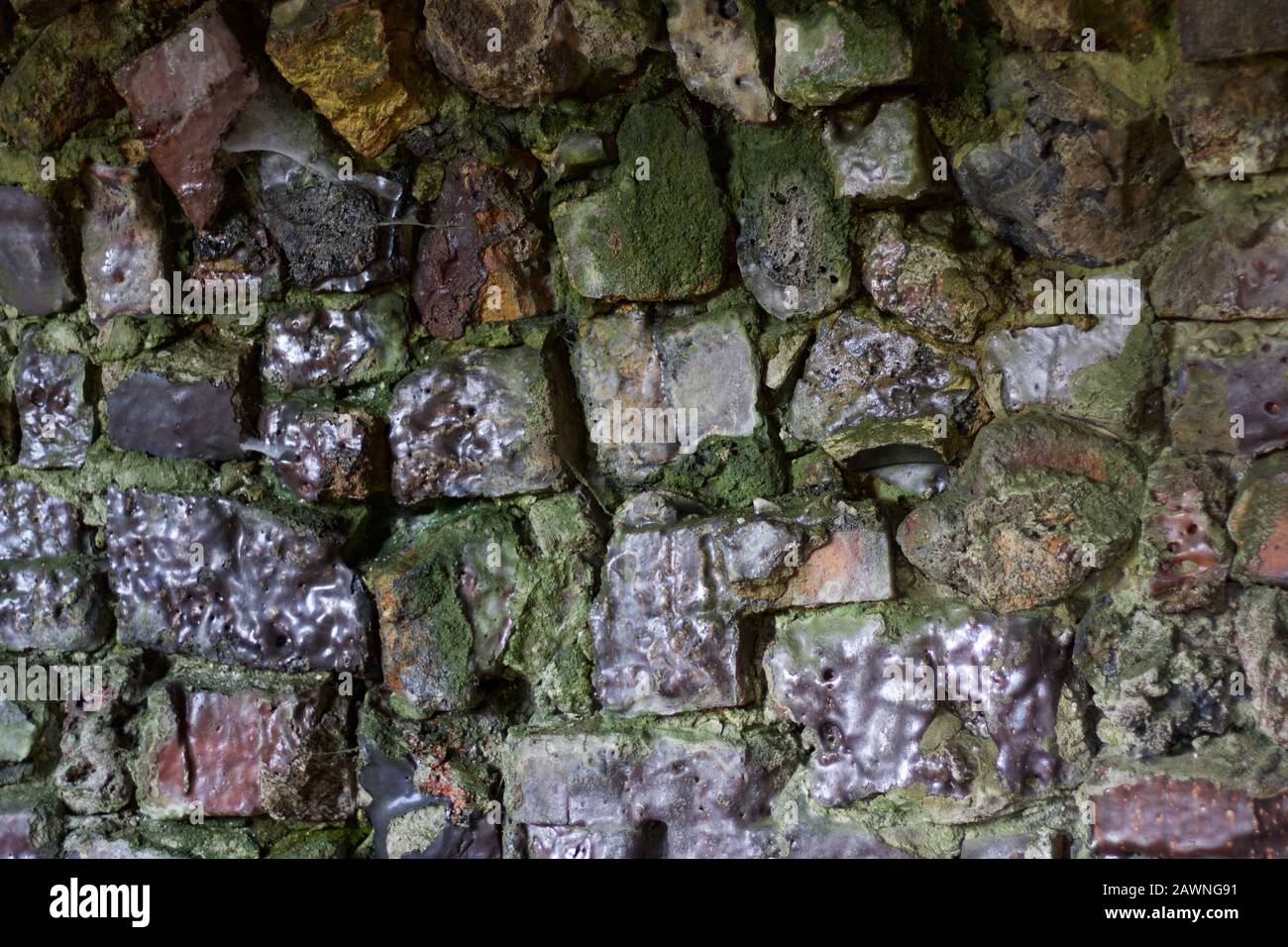 Mouldy algae hi-res stock photography and images - Alamy
