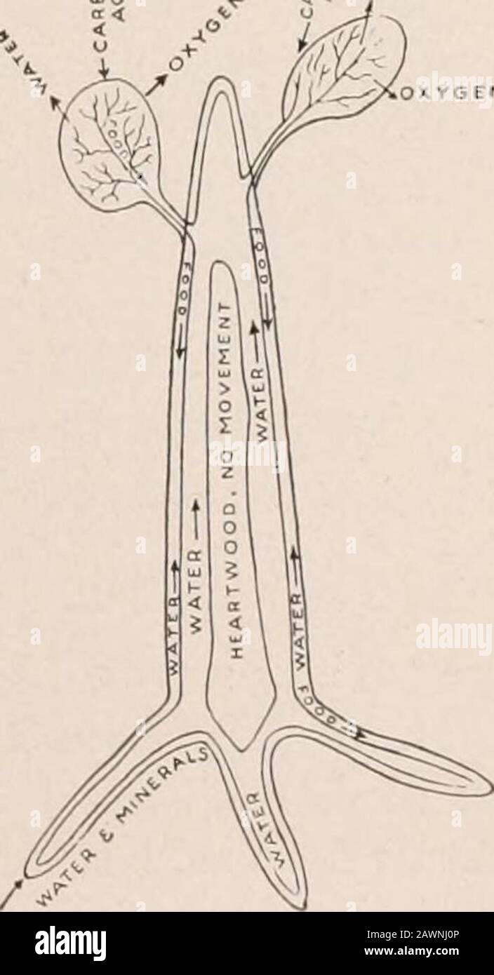 Good air circulation hi-res stock photography and images - Alamy