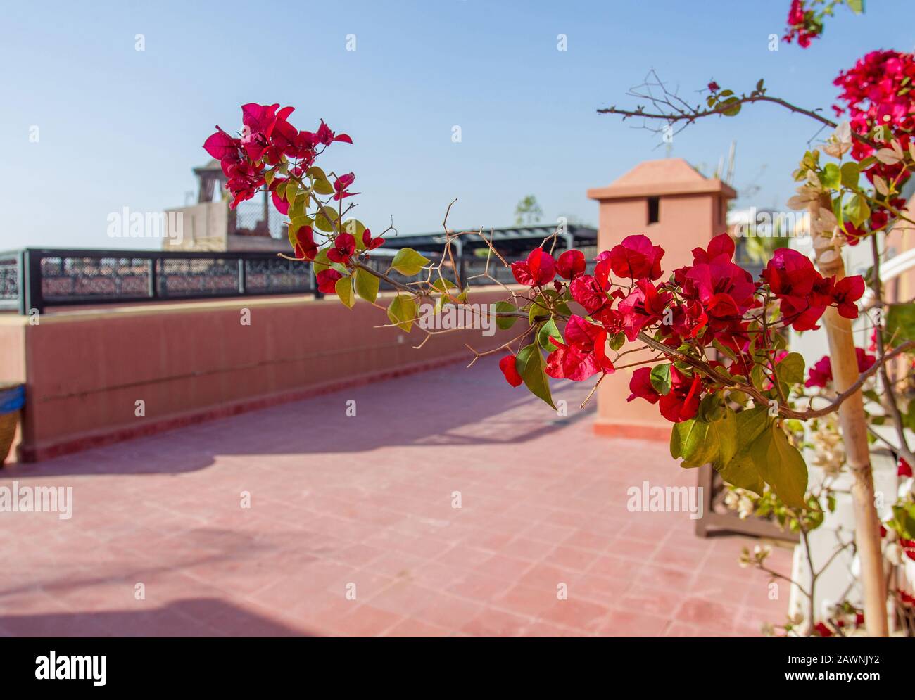 Red flowers on the roof of red Moroccan building of small hotel . Red ...