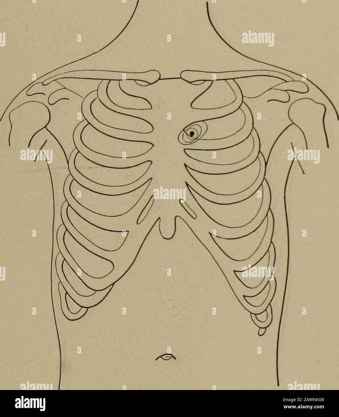 Physical diagnosis, including diseases of the thoracic and abdominal ...