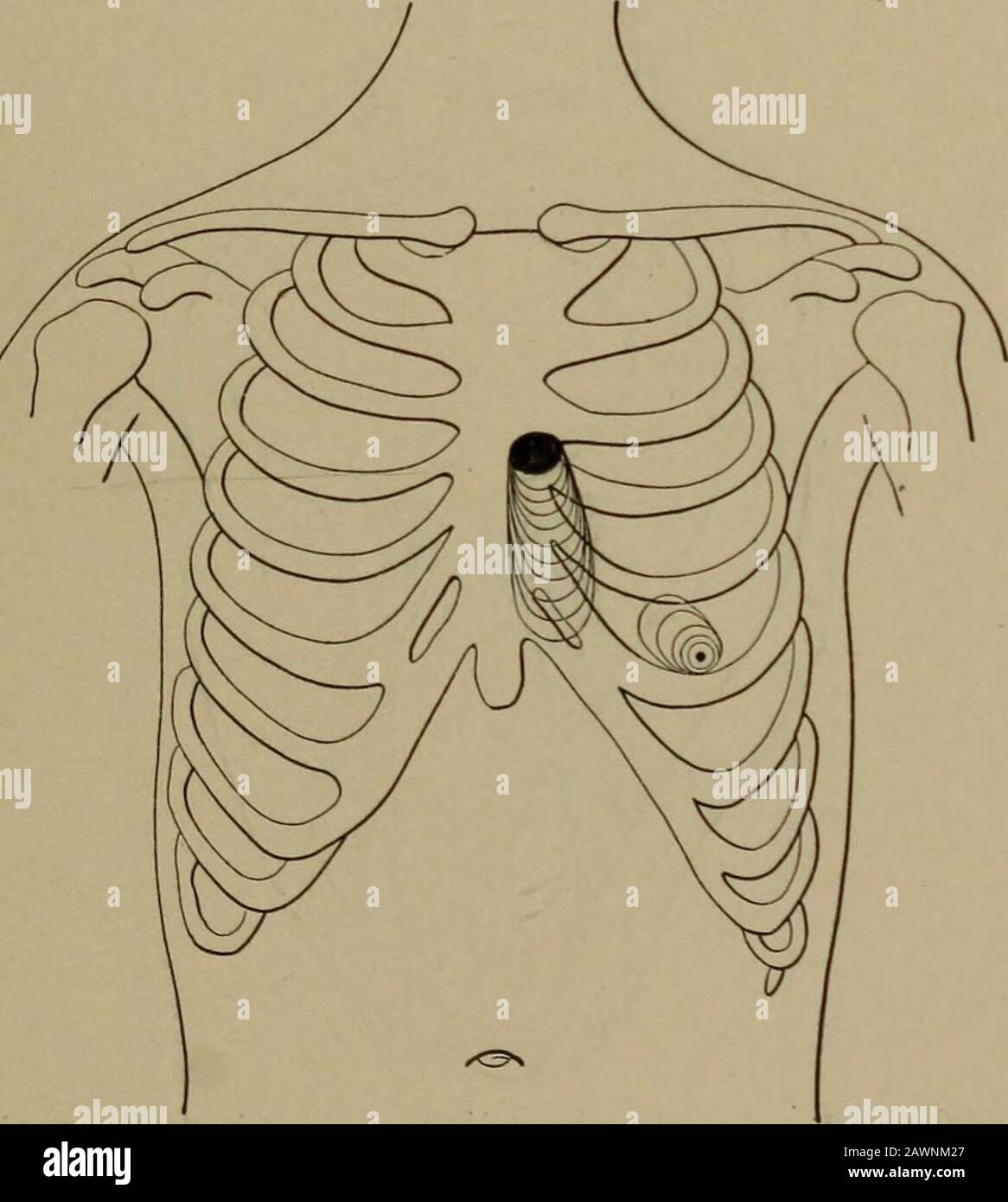 Interspace hi-res stock photography and images - Alamy