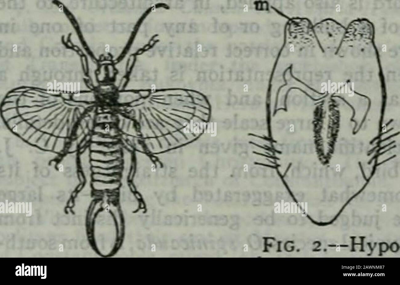 Q v family hi-res stock photography and images - Alamy