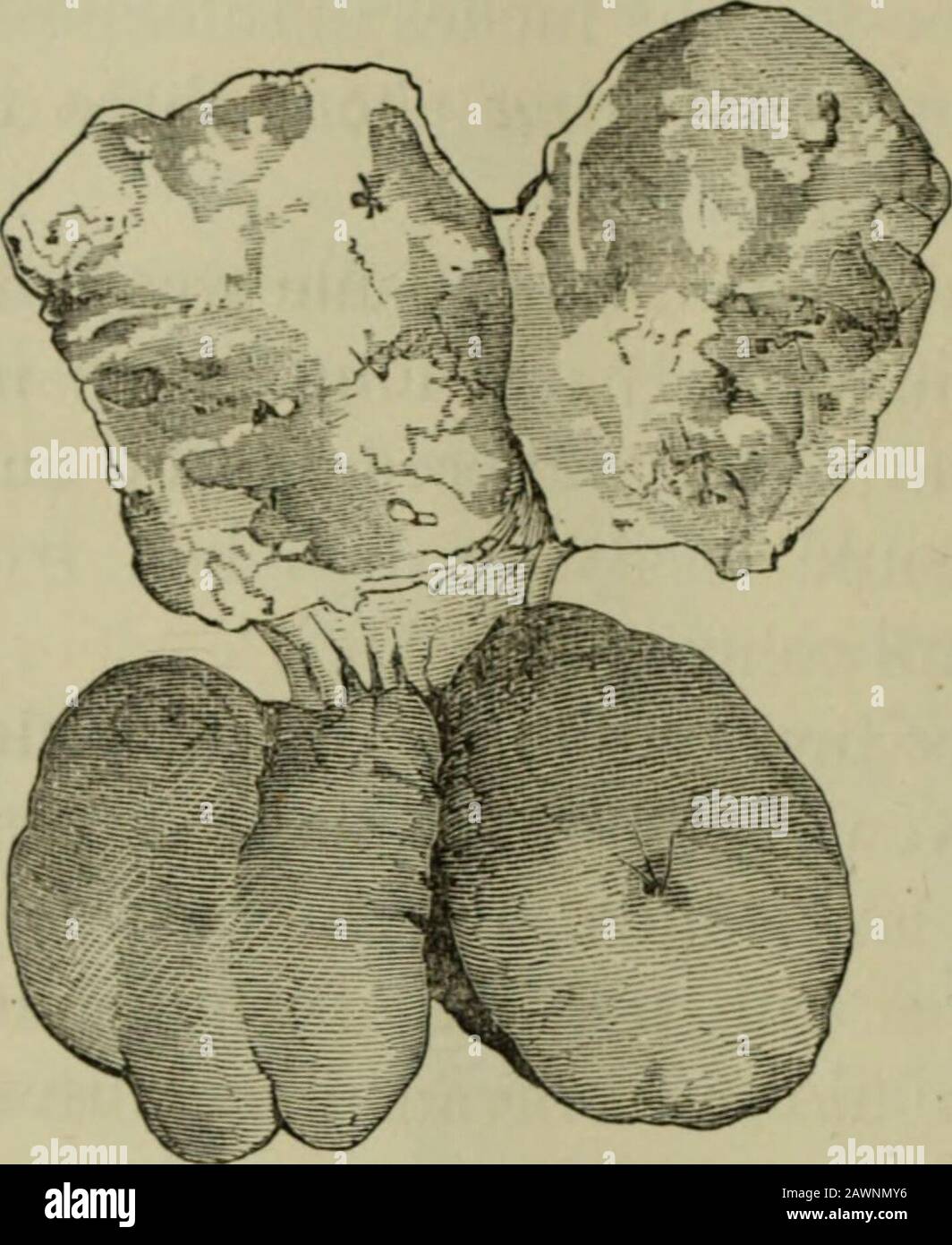 Putty like hi-res stock photography and images - Alamy