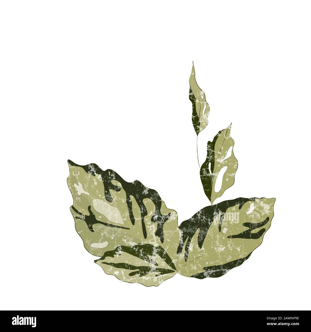 Jungle leaves illustration Cut Out Stock Images & Pictures - Alamy