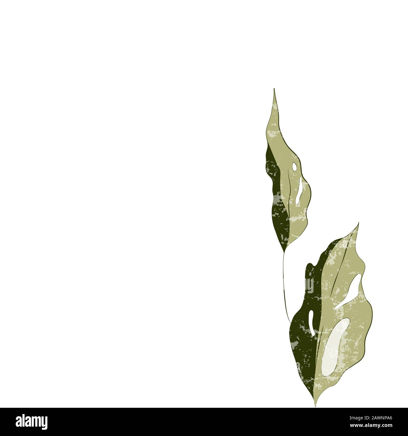 Jungle leaves illustration Cut Out Stock Images & Pictures - Alamy