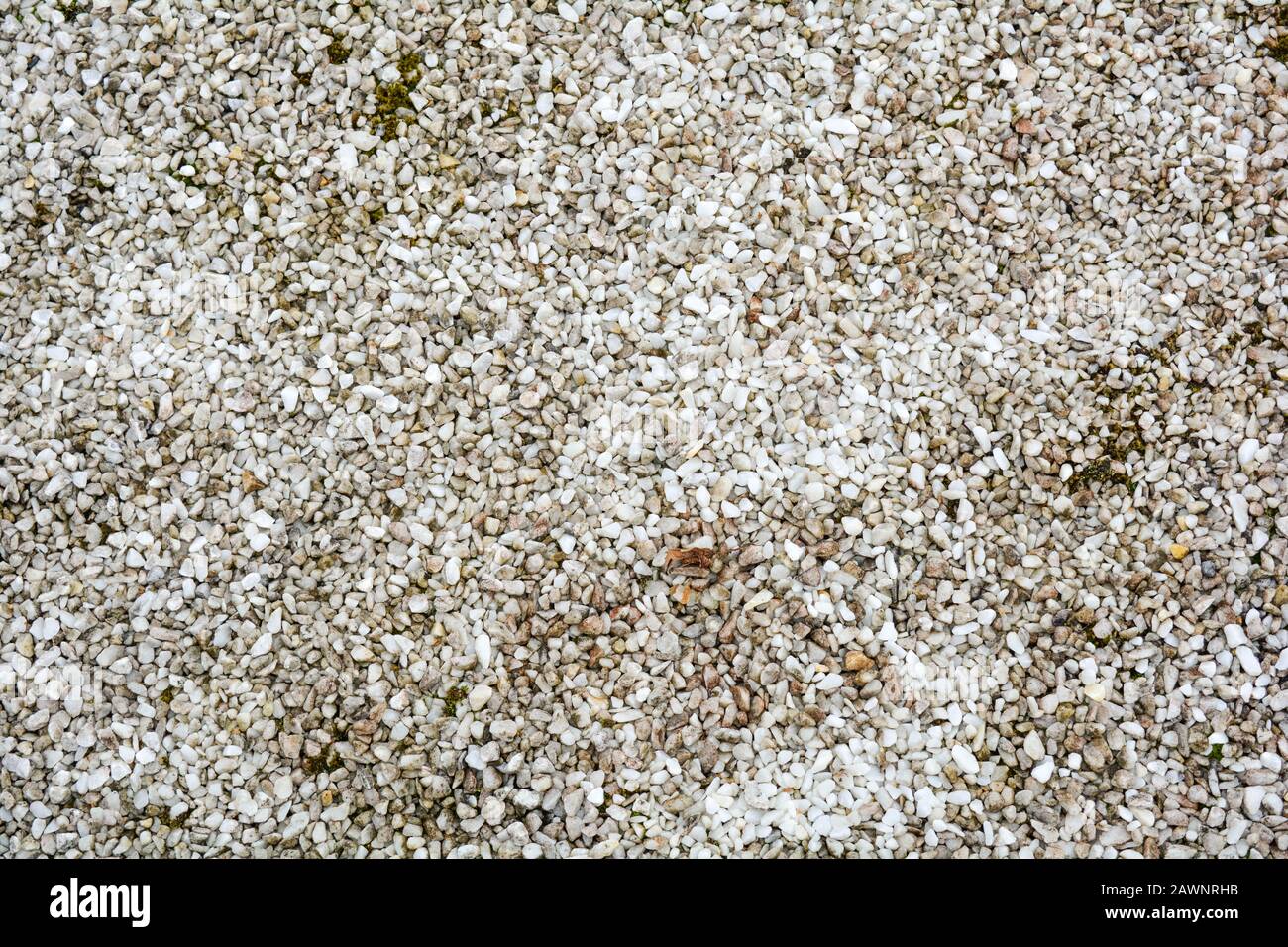 Small dirty white pebble background. Top view of white gravel stone ...