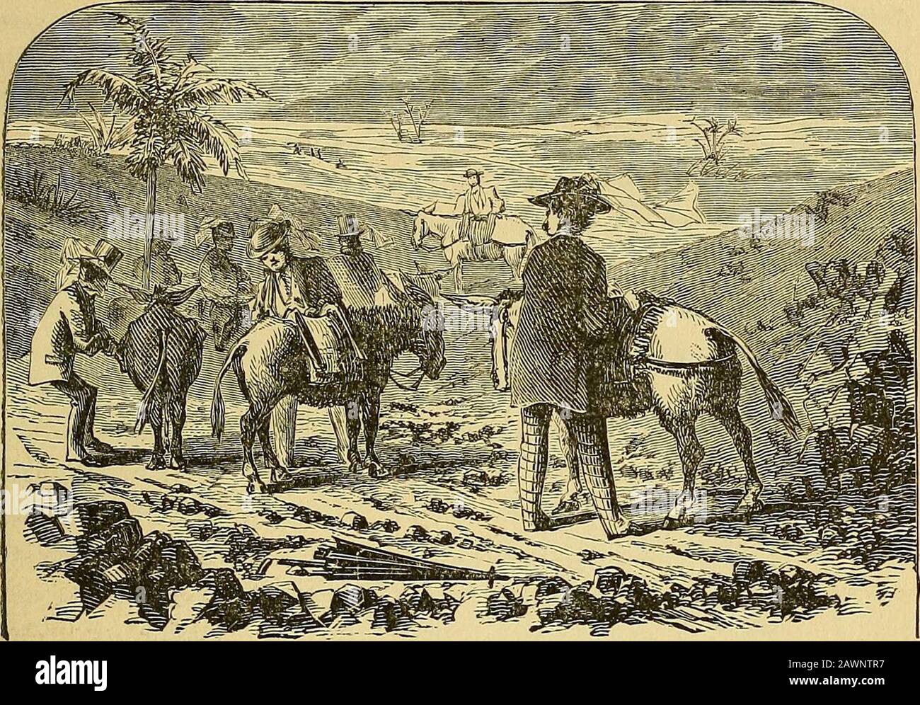 Save your neck hi-res stock photography and images - Alamy