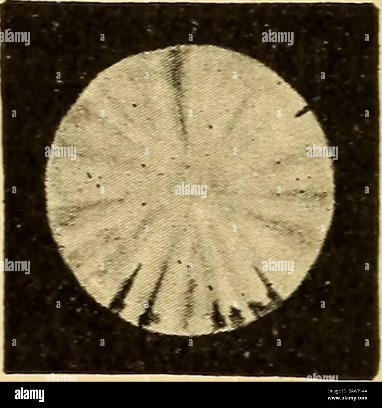 Skiascopy and its practical application to the study of refraction ...