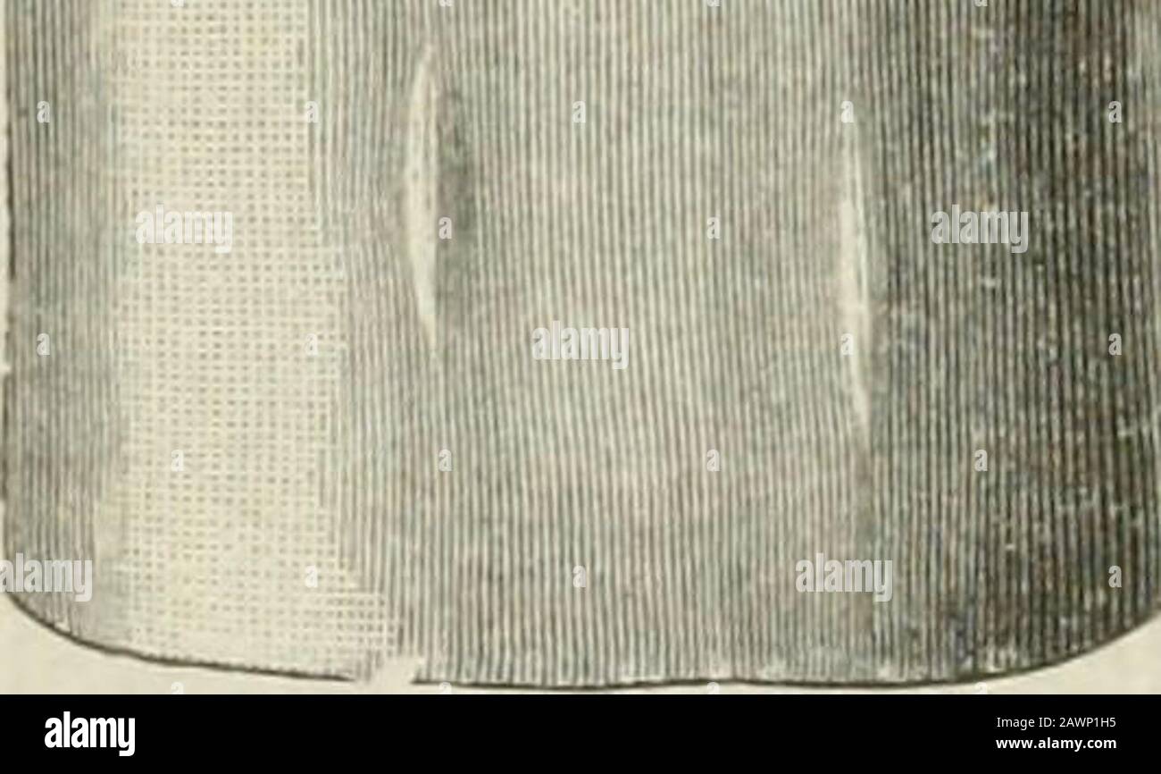 Handbook of meat inspection Stock Photo - Alamy