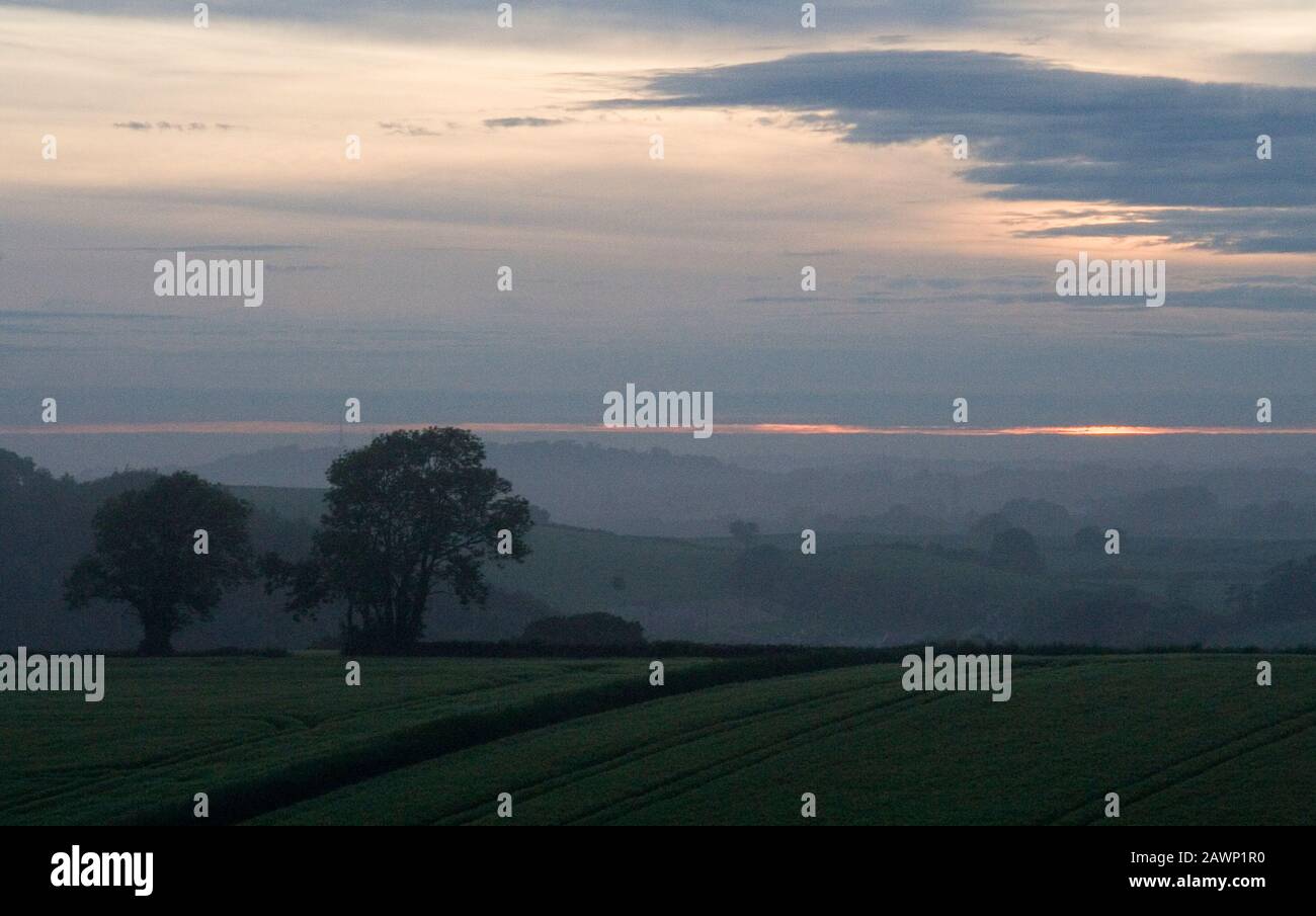 south hams, countryside, devon Stock Photo - Alamy