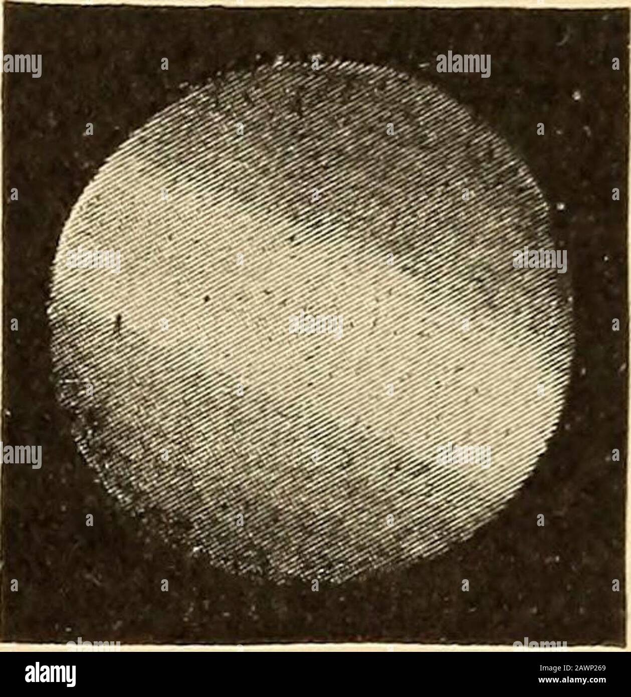 Dicating hi-res stock photography and images - Alamy