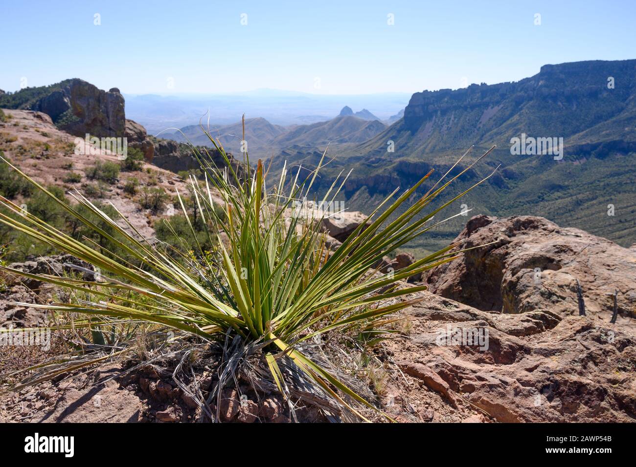 View of Juniper Canyon from the top of Lost Mine Trail inside Big Bend ...