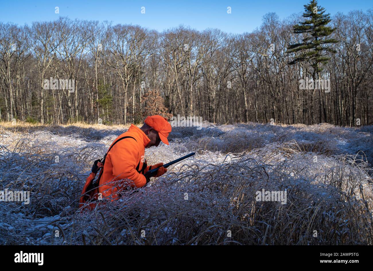 Hunter brown hi-res stock photography and images - Alamy