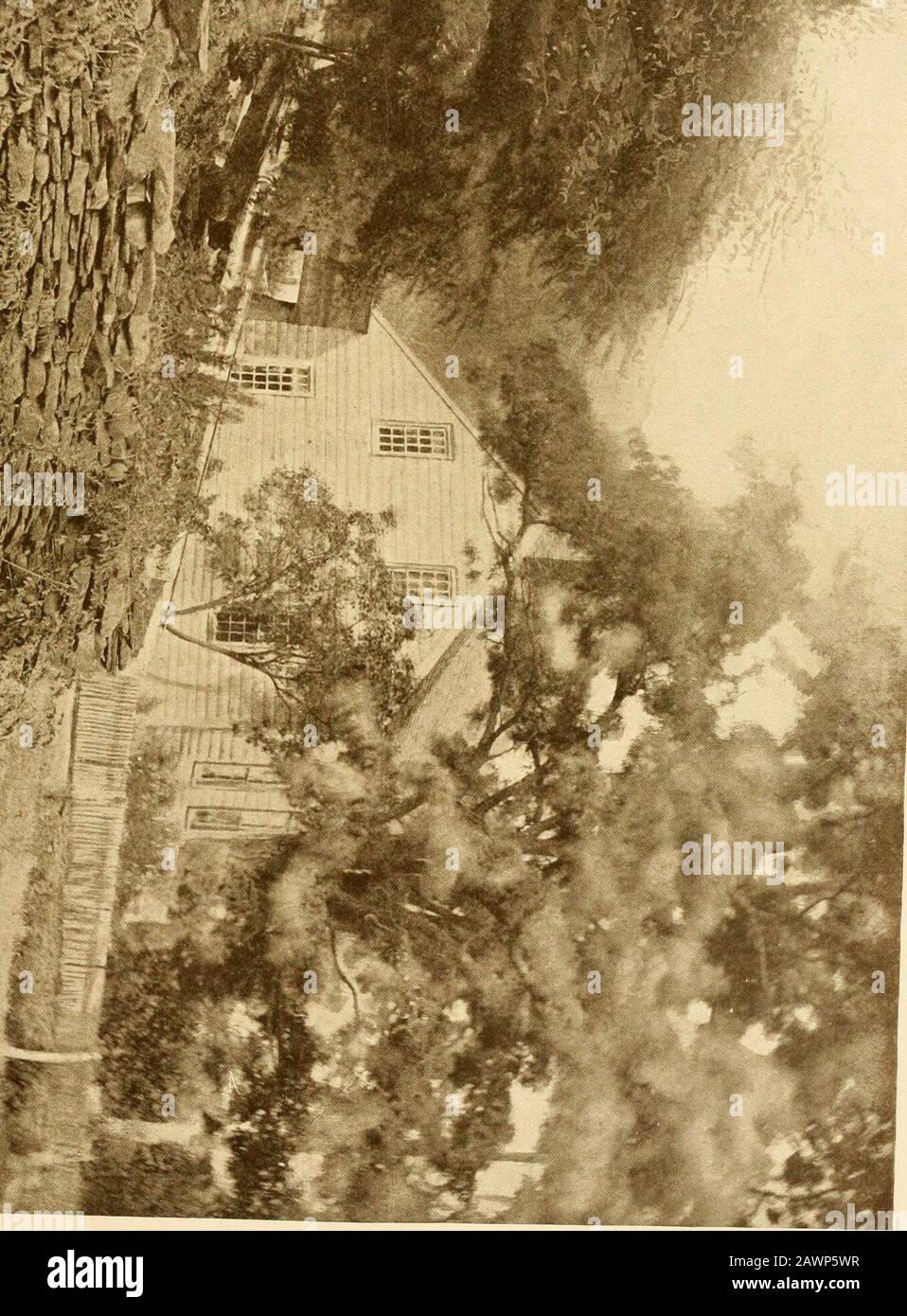 The Ogden family in America, Elizabethtown branch, and their English ...