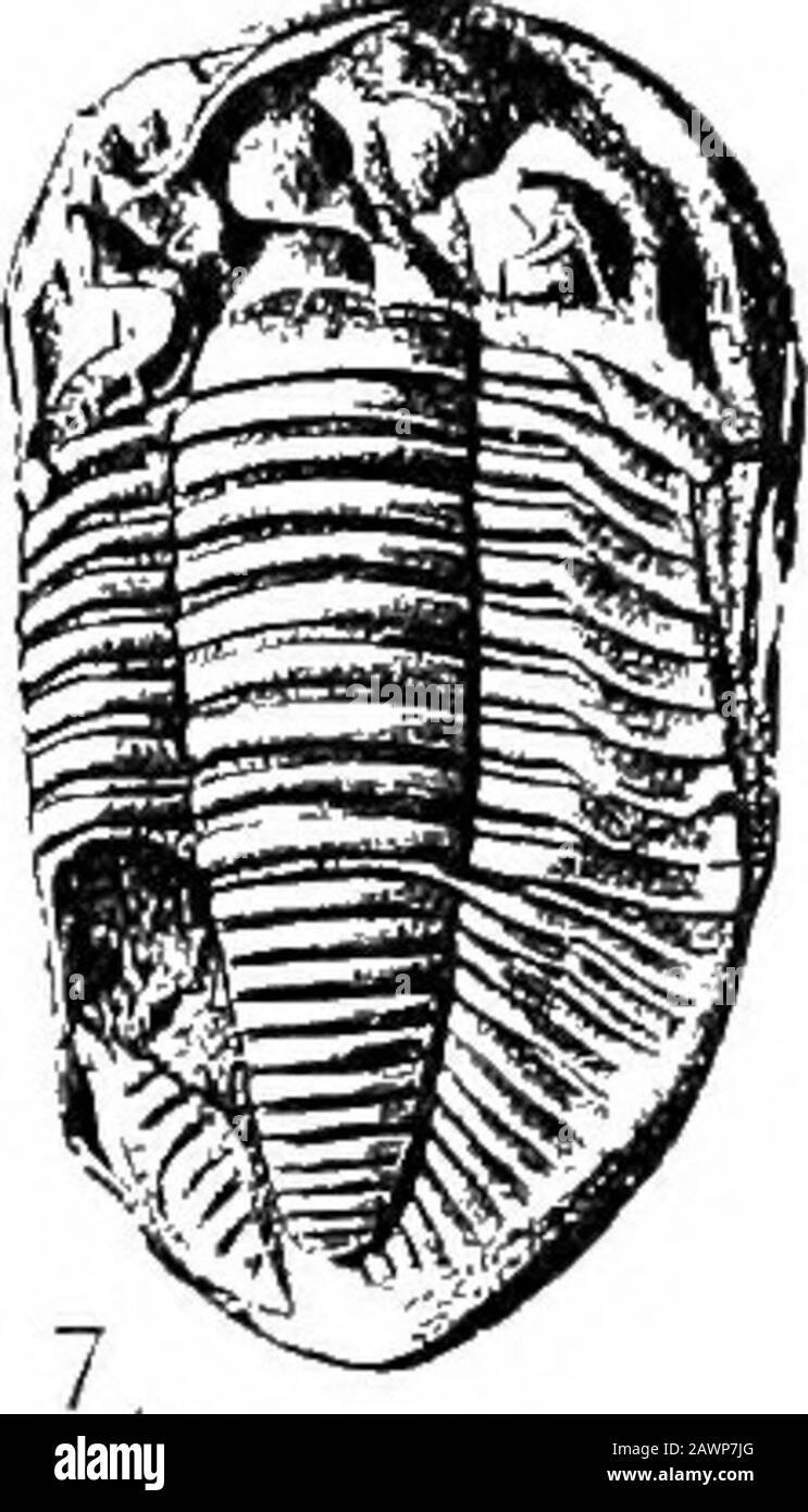 Voli Black and White Stock Photos & Images - Alamy