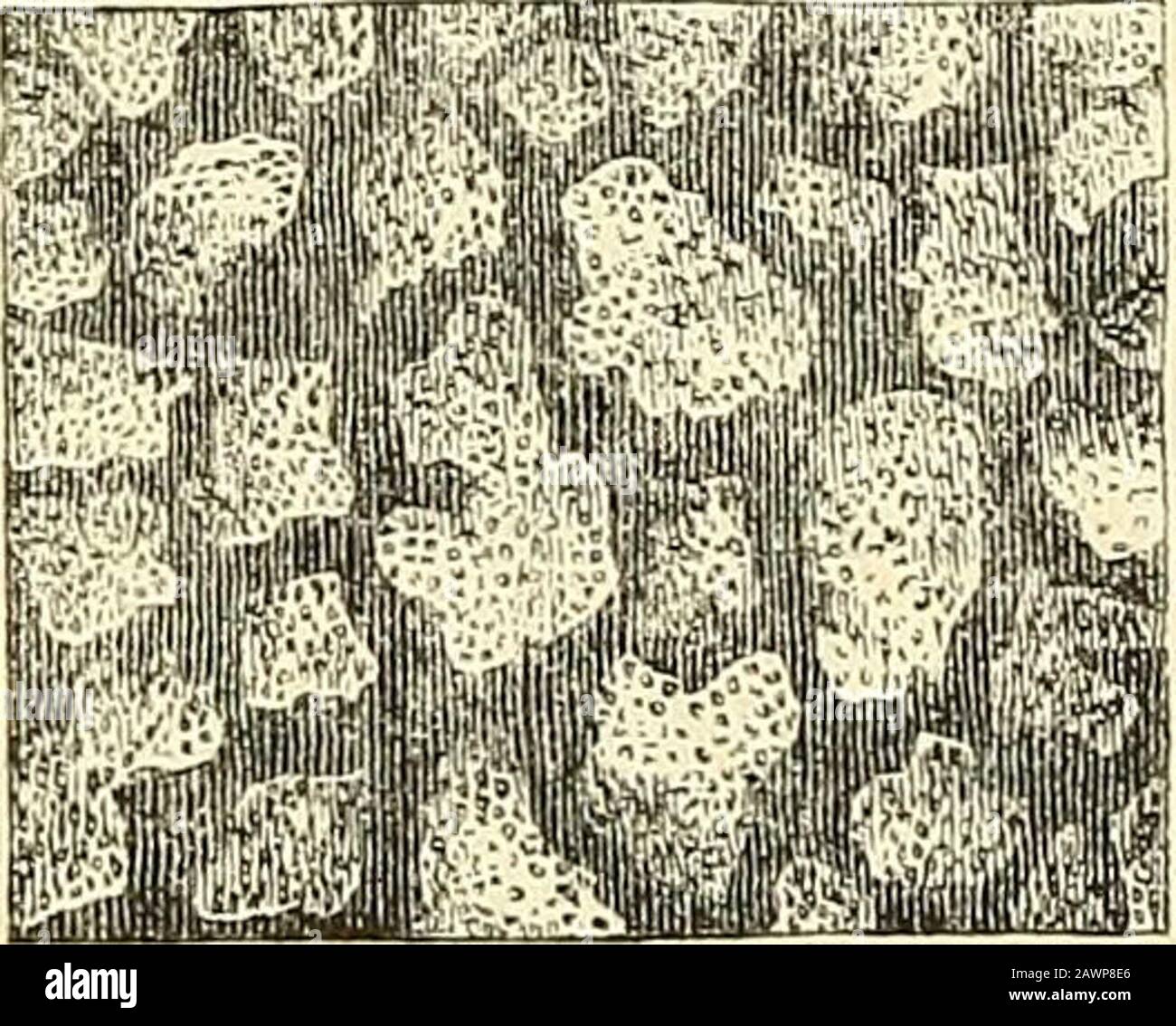 Concentric_circles hi-res stock photography and images - Alamy