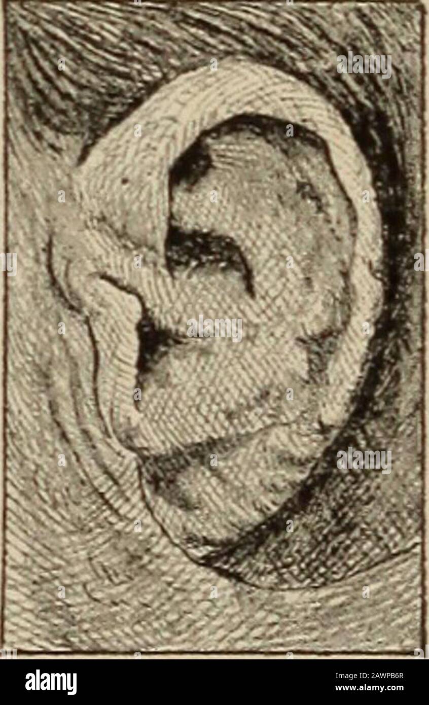 Wildermuth hi-res stock photography and images - Alamy