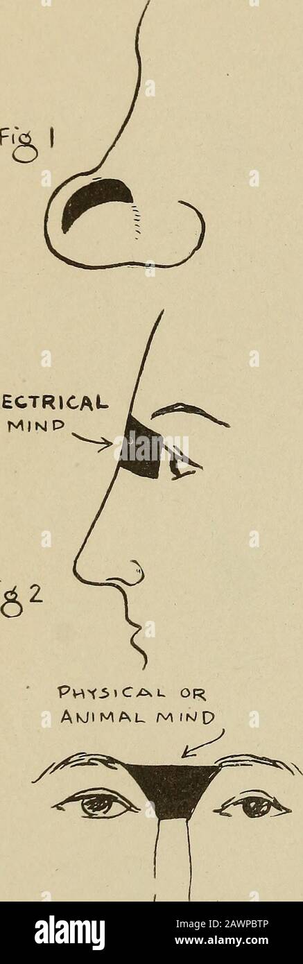 Fundamental character analysis . THE NOSE Electrical MINP. r.d2 .O ...