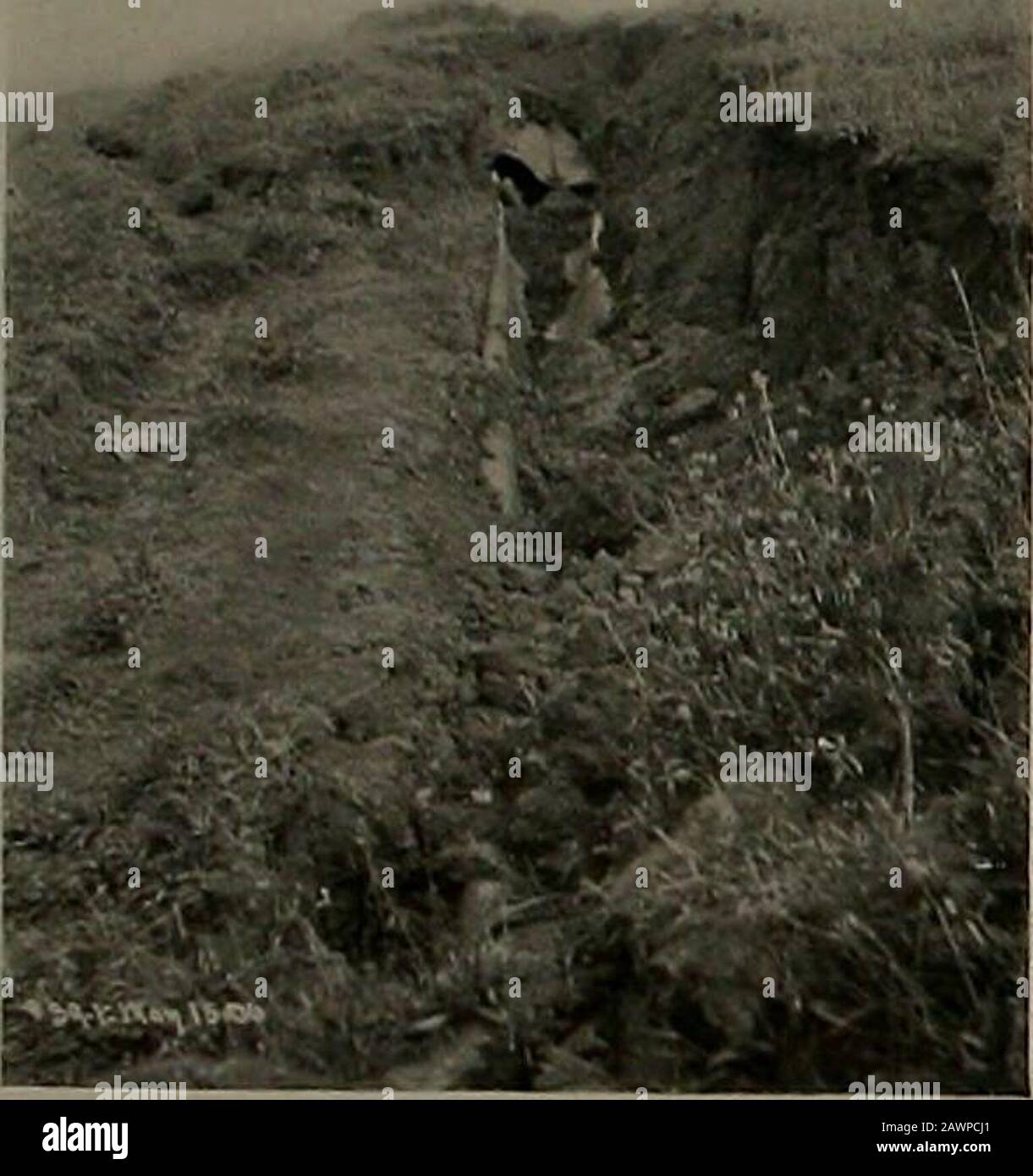 The water supply of San Francisco, California, before, during and after ...