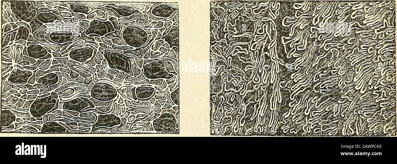 Finger capillary hi-res stock photography and images - Alamy