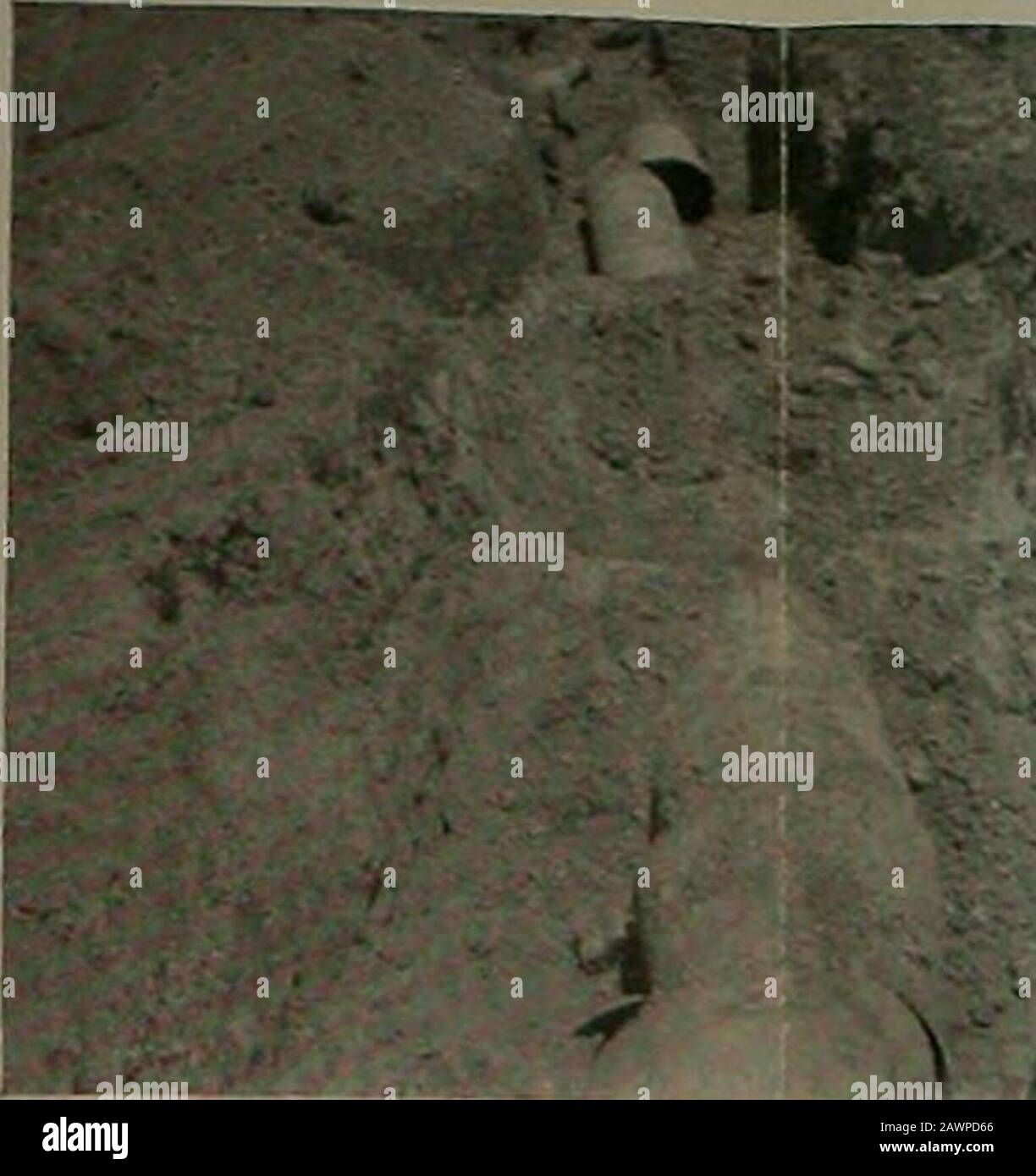 The water supply of San Francisco, California, before, during and after ...