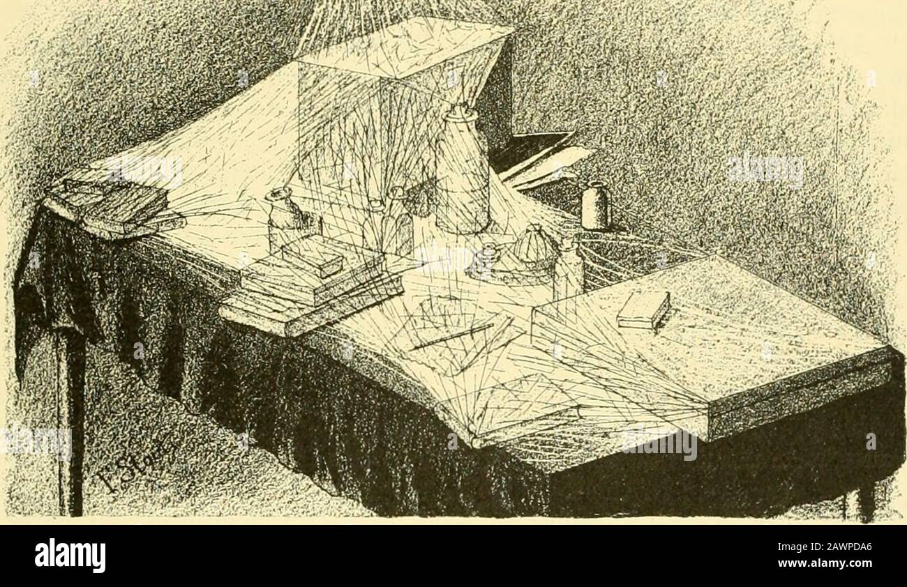 Migrating spider hi-res stock photography and images - Alamy