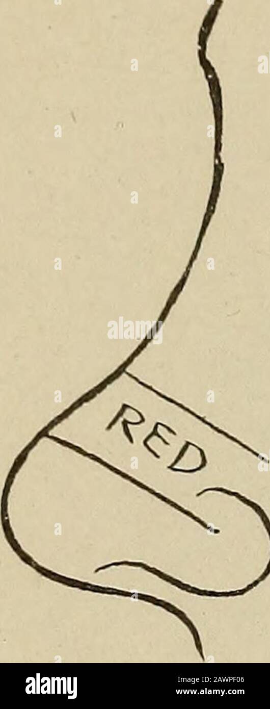Fundamental character analysis . METAPHOR 5Y5TEM PLATE 16 TYPICAL NOSE ...