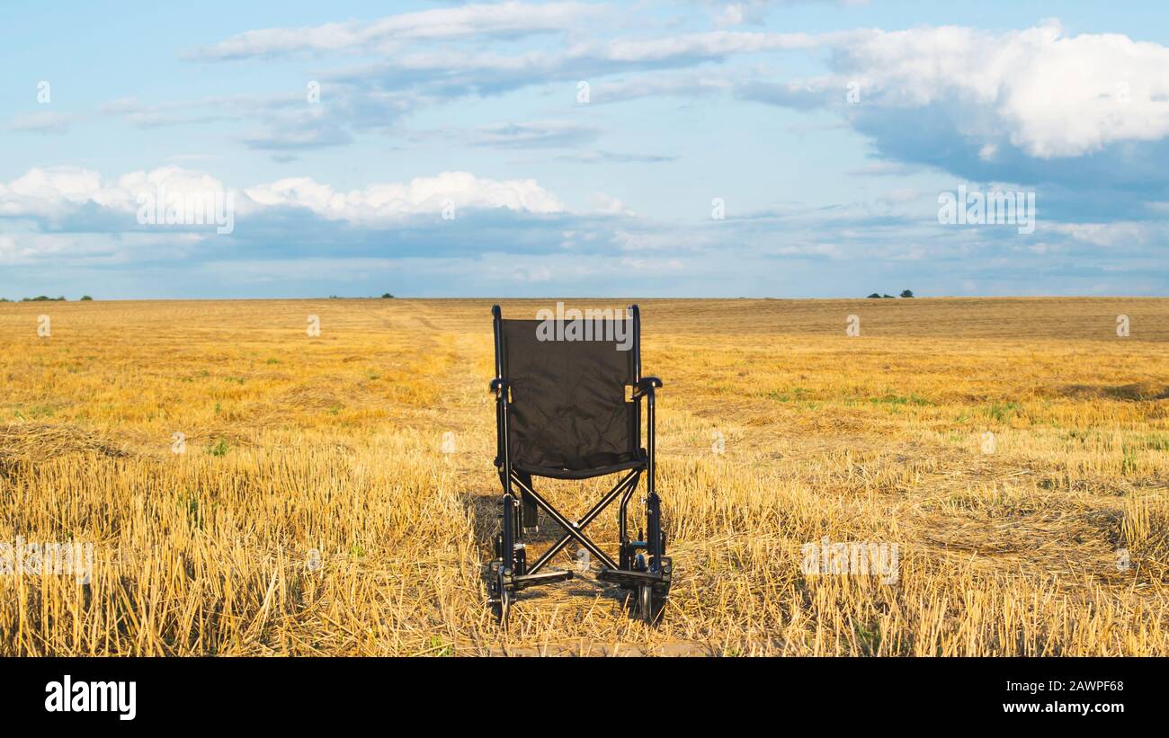 Empty wheelchair in a wide meadow. disabled carriage in nature. medical ...