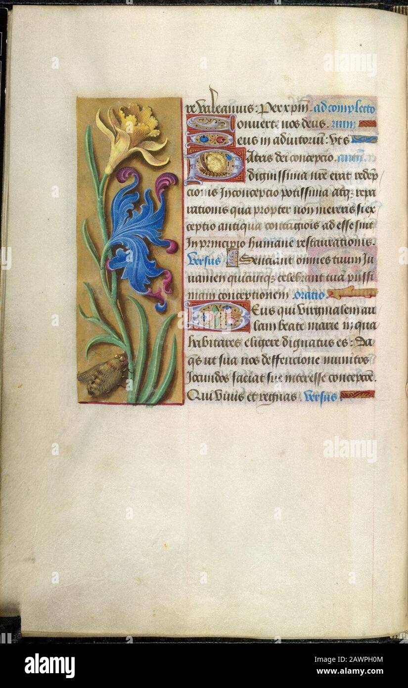 Folio-37-BL British Library Stock Photo - Alamy