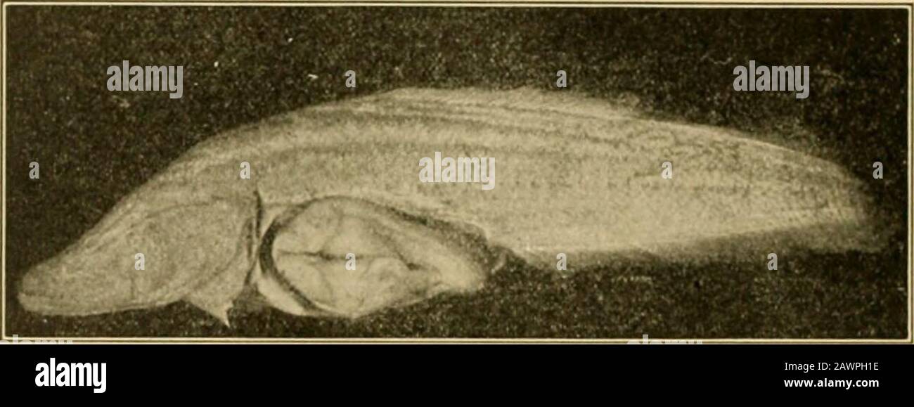 Red subterranea hi-res stock photography and images - Alamy