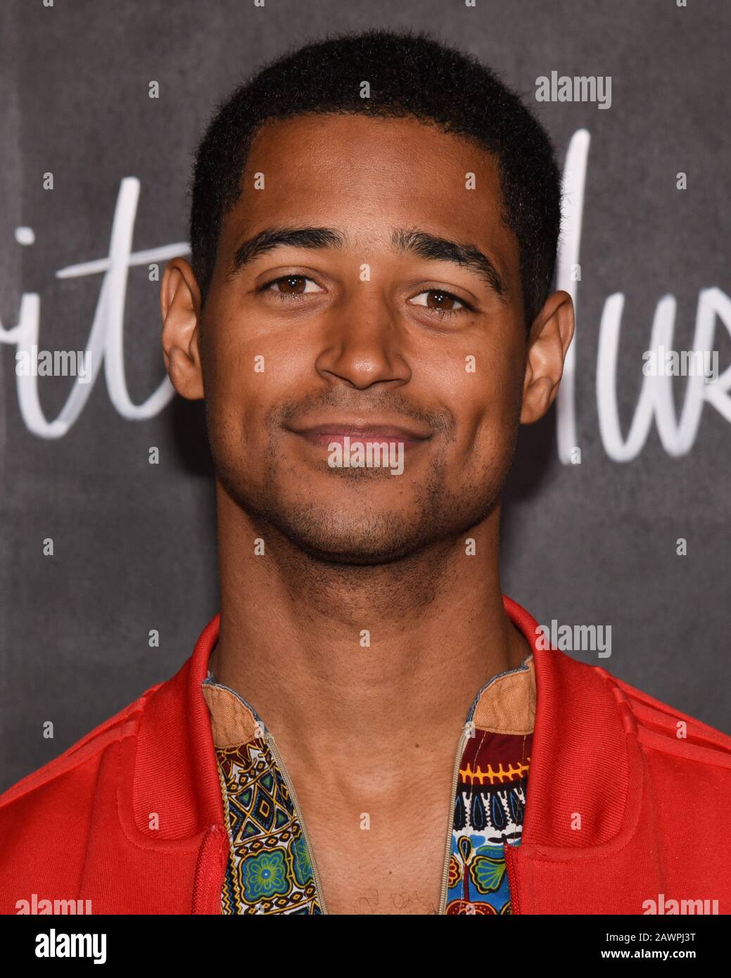 08 February 2020 - Hollywood, California - Alfred Enoch. "How to Get ...