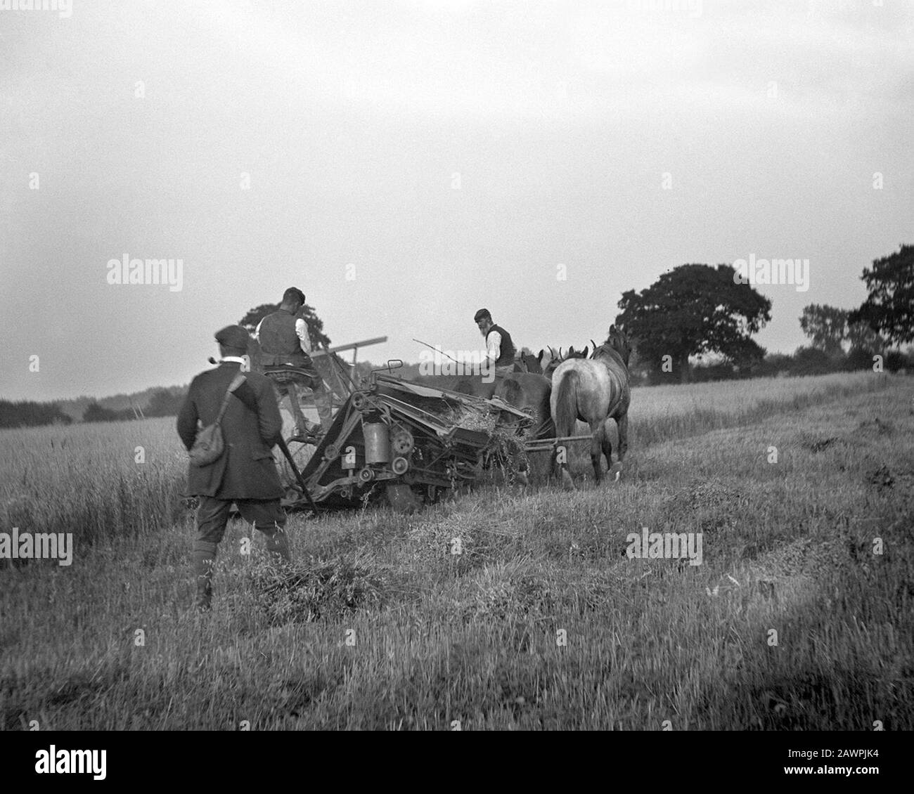 S79 hi-res stock photography and images - Alamy