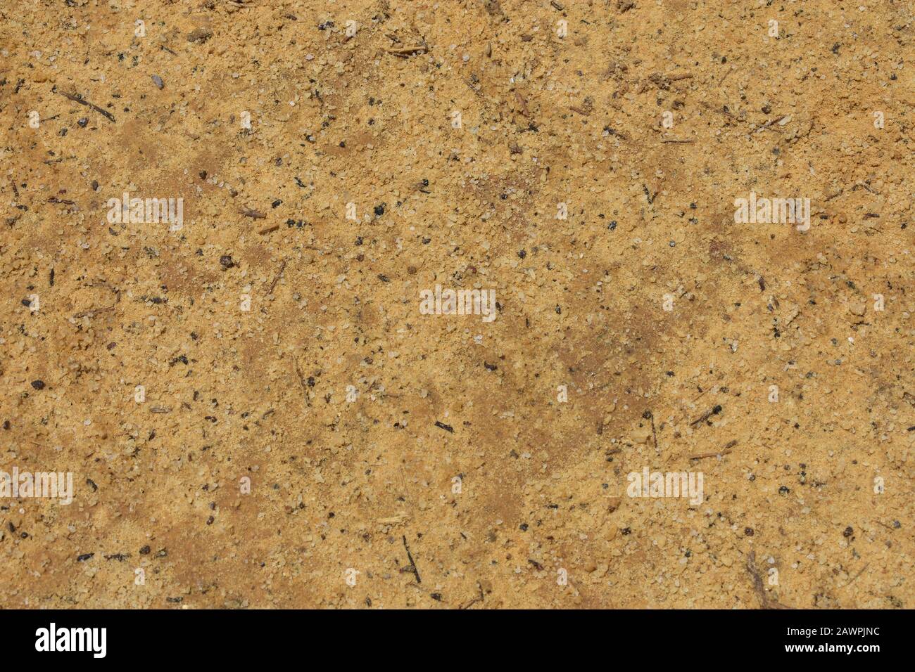 Salty sand closeup at the Dead Sea Stock Photo - Alamy